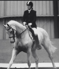 British Dressage - Judge Debbie Stephenson