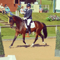 British Dressage - Judge Lauren Kate Williamson