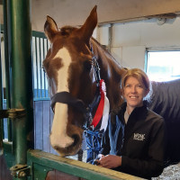 British Dressage - Judge Rachel Collins