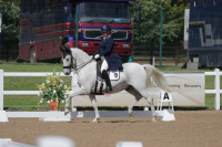 British Dressage - Judge Jennifer Anne Folman