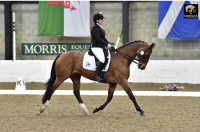 British Dressage - Judge Louise Howatson