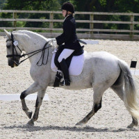 British Dressage - Judge Rose Aylward