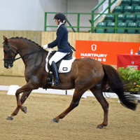British Dressage - Judge Georgina Rickard