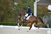 British Dressage - Judge Anna Jesty