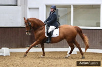 British Dressage - Judge Rachel Crook