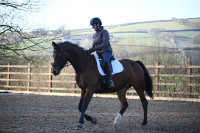 British Dressage - Judge Donna Sweeney