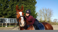 British Dressage - Judge Lisa Fenn