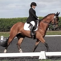 British Dressage - Judge Michaela Preston