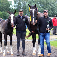 British Dressage - Judge Greg Hague