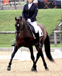 British Dressage - Judge Michaela Todd