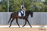 British Dressage - Judge Hayley Ward