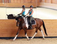 British Dressage - Judge Abi Cross