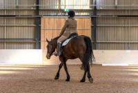 British Dressage - Judge Elisabeth Turnbull